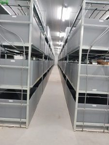 IBS Container – Insecnology